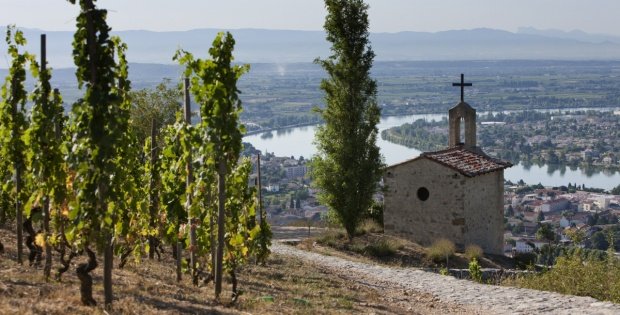 Rhone Valley Wines – Wine Concepts